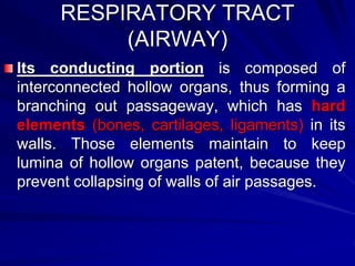 Introduction to the Respiratory system and basic anatomy and physiology ...