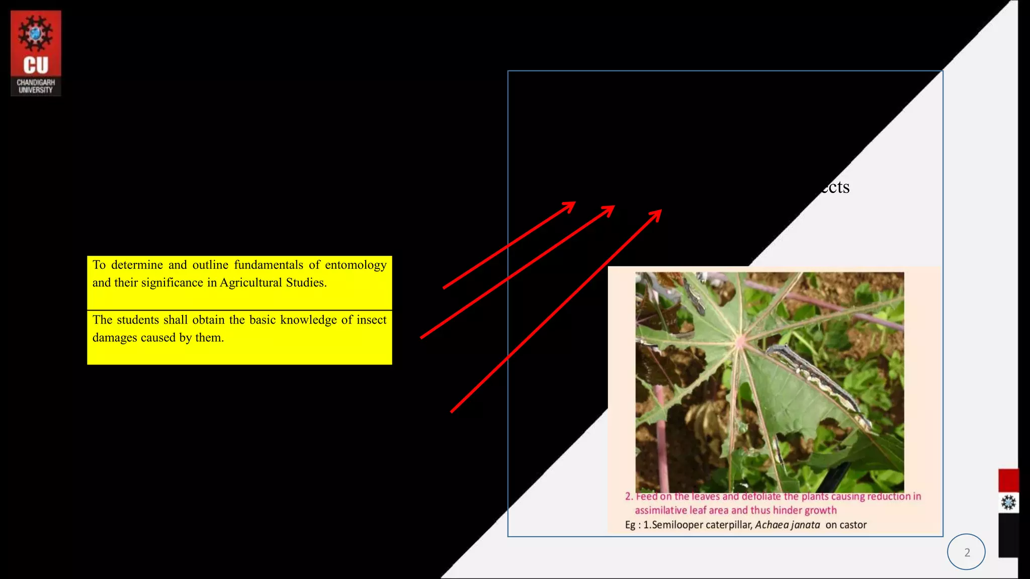 Lecture 1- Methods of detection and diagnose Damages caused by Insects.ppt