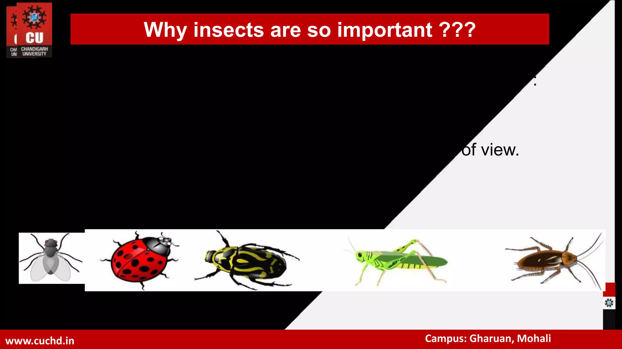 Lecture 1- Methods of detection and diagnose Damages caused by Insects.ppt