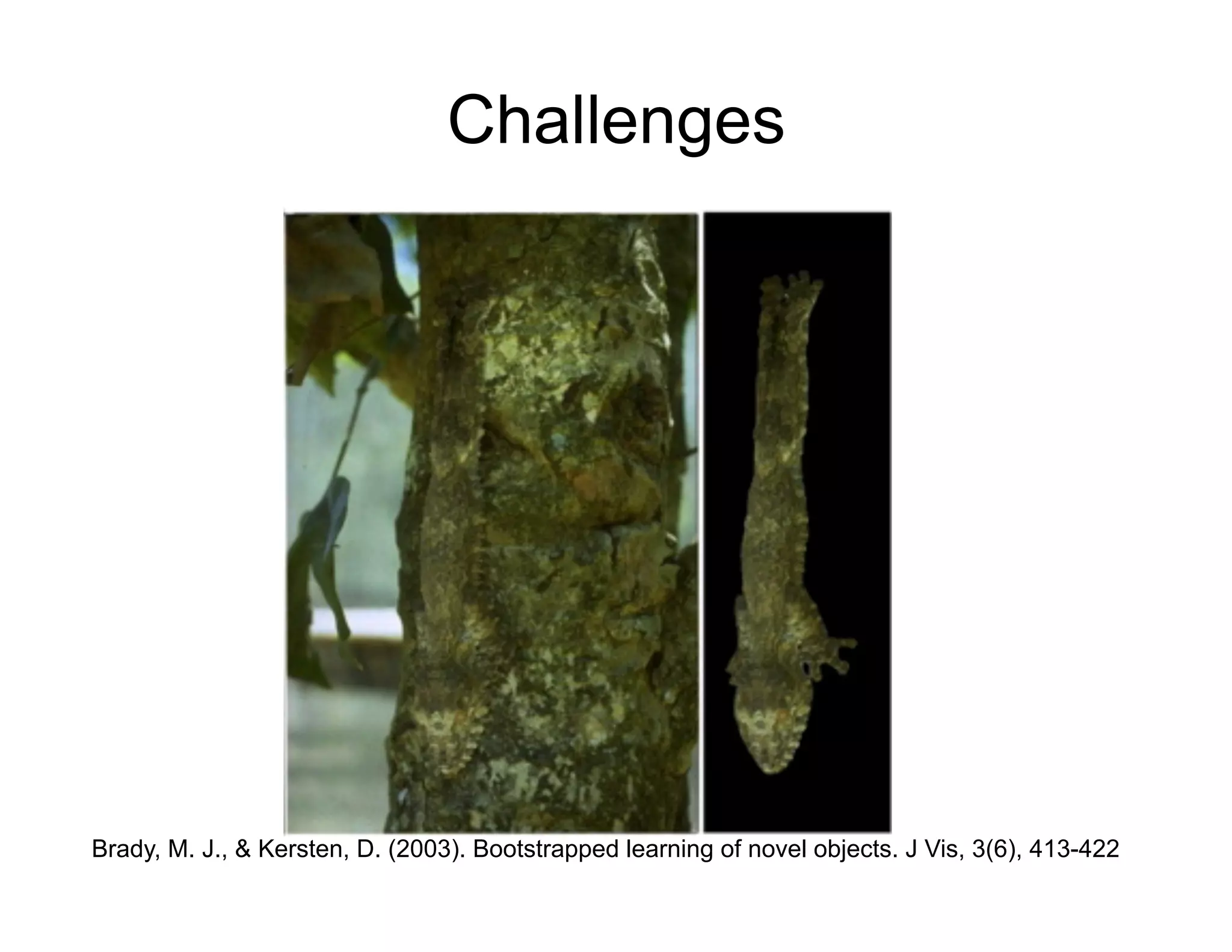 Mit6870 Grounding Object Recognition And Scene Understanding Lecture 1 Pdf