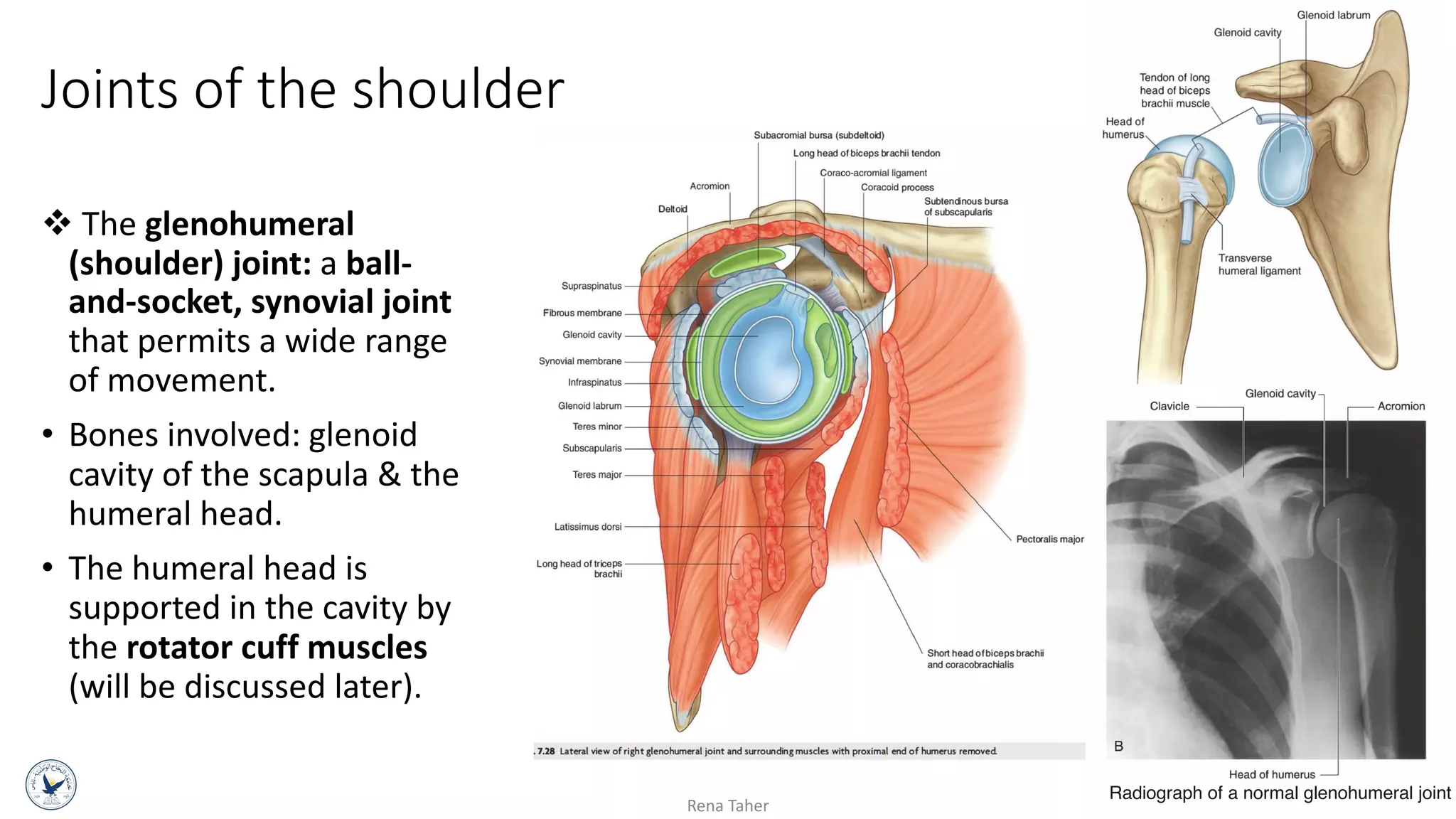 Lecture 1-Modified.pdf