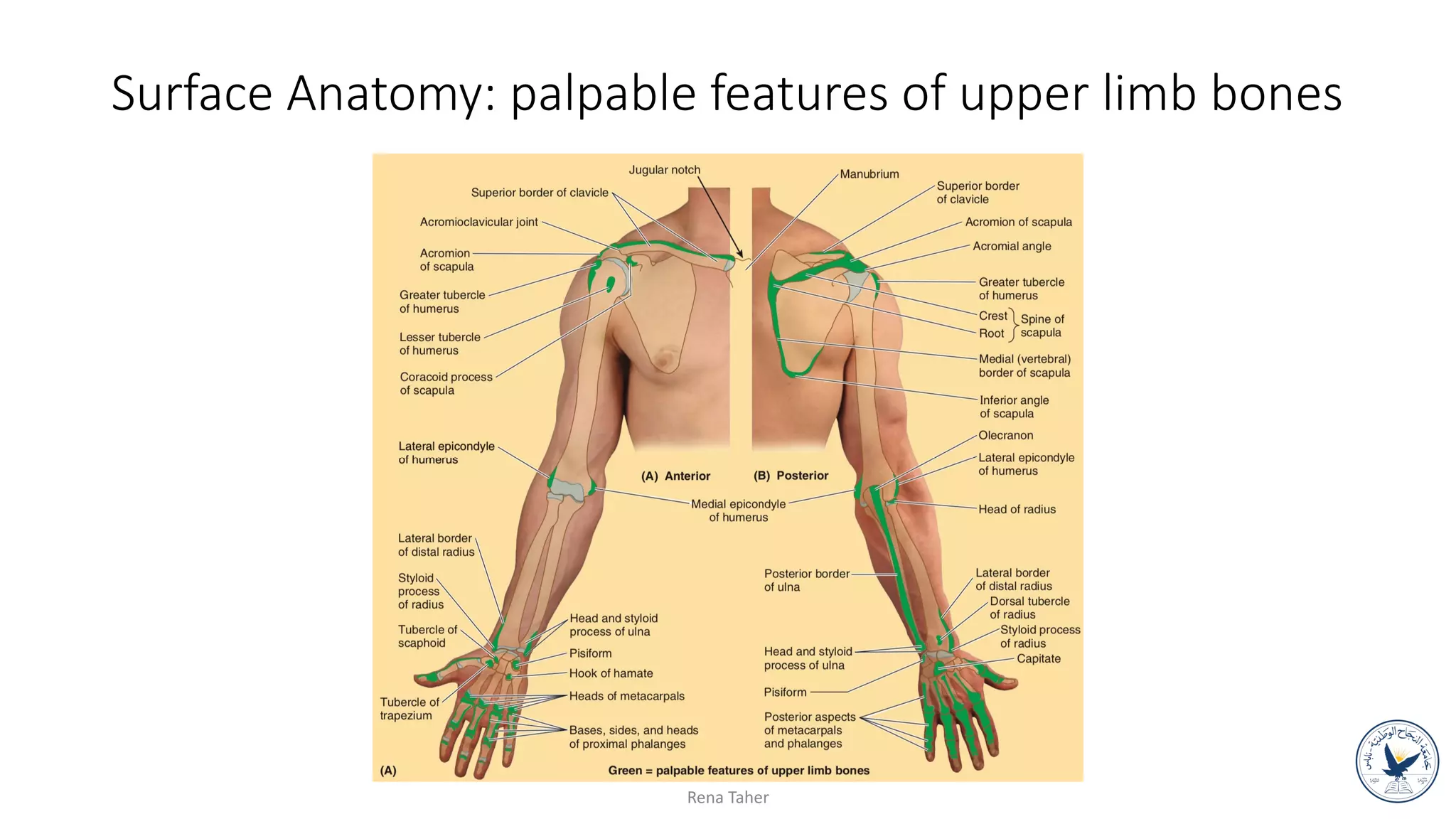 Lecture 1-Modified.pdf