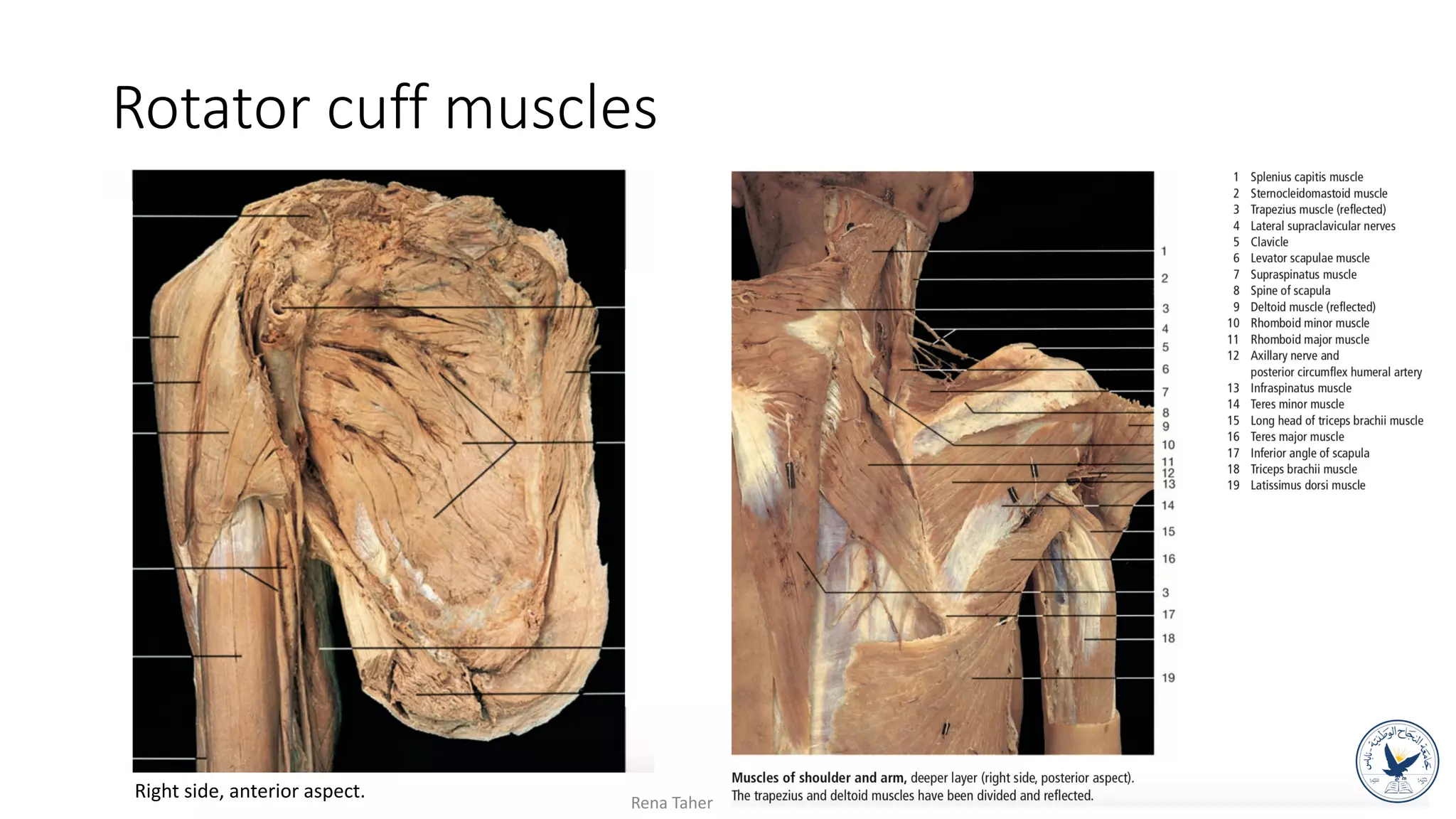 Lecture 1-Modified.pdf