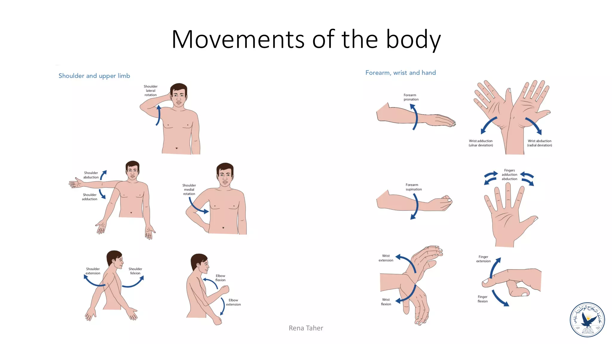 Lecture 1-Modified.pdf