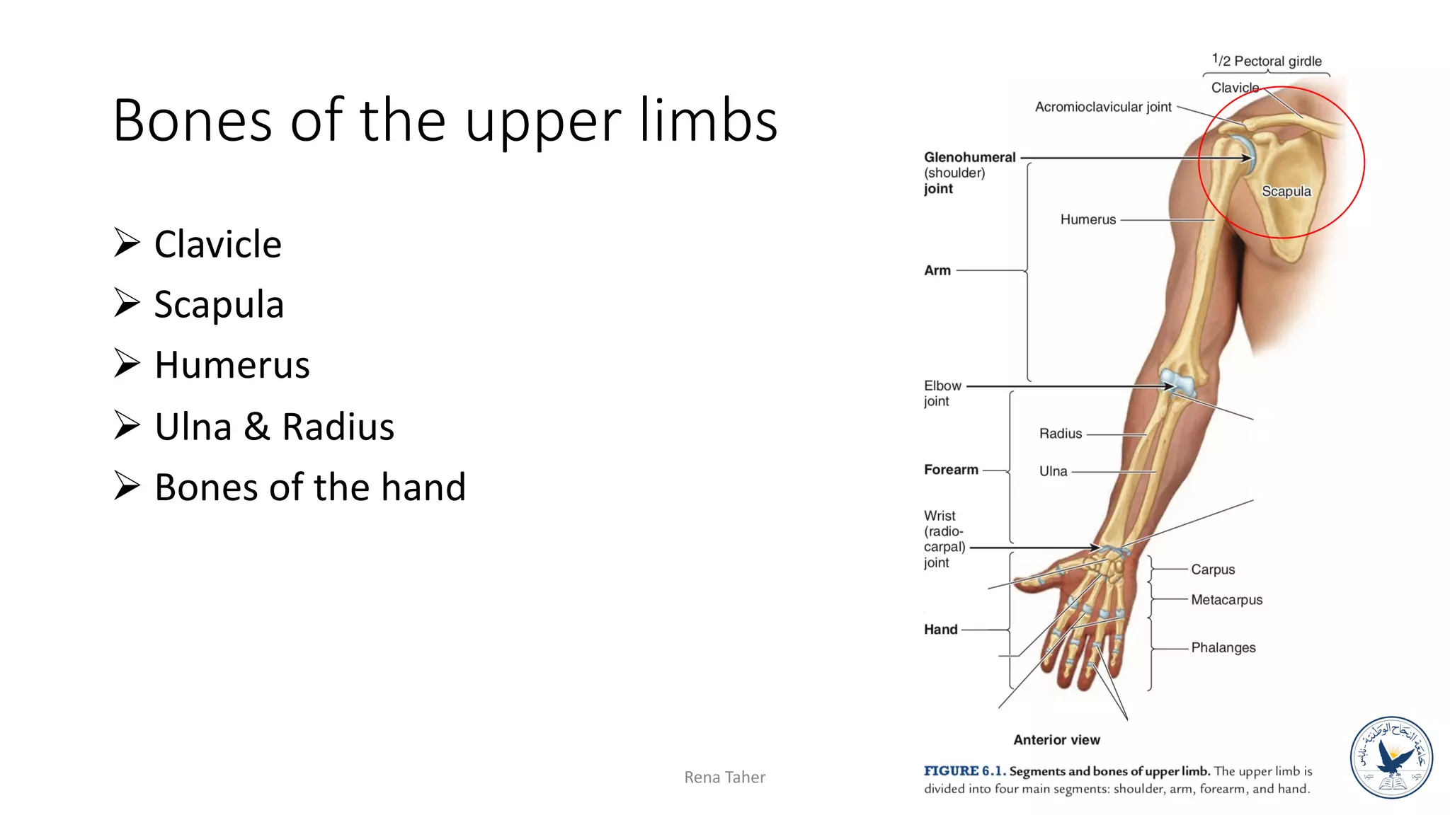 Lecture 1-Modified.pdf