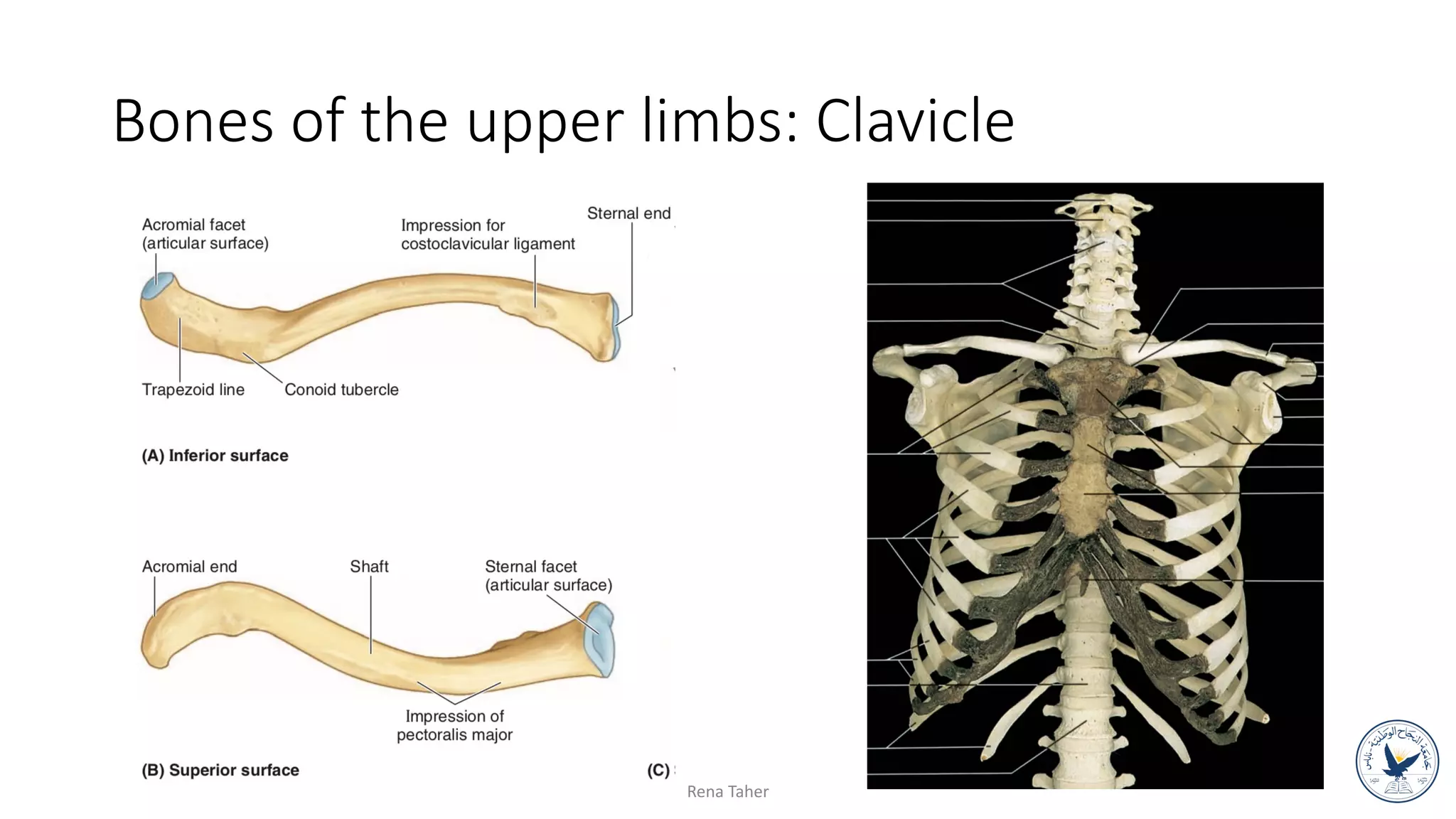 Lecture 1-Modified.pdf