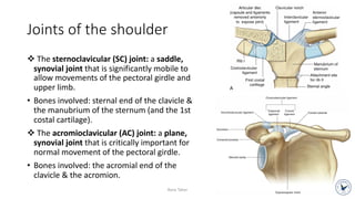 Lecture 1-Modified.pdf