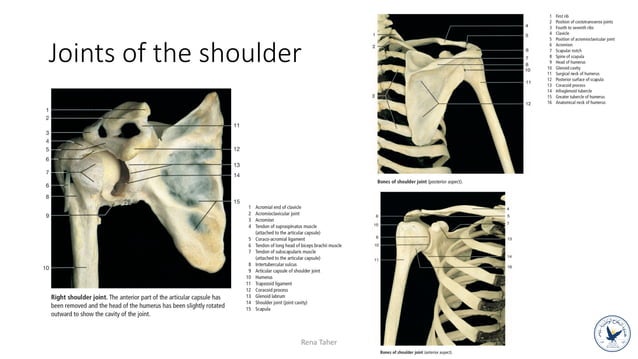 Lecture 1-Modified.pdf
