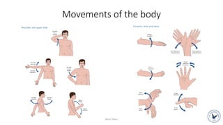 Lecture 1-Modified.pdf
