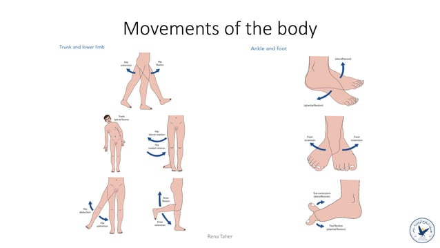 Lecture 1-Modified.pdf