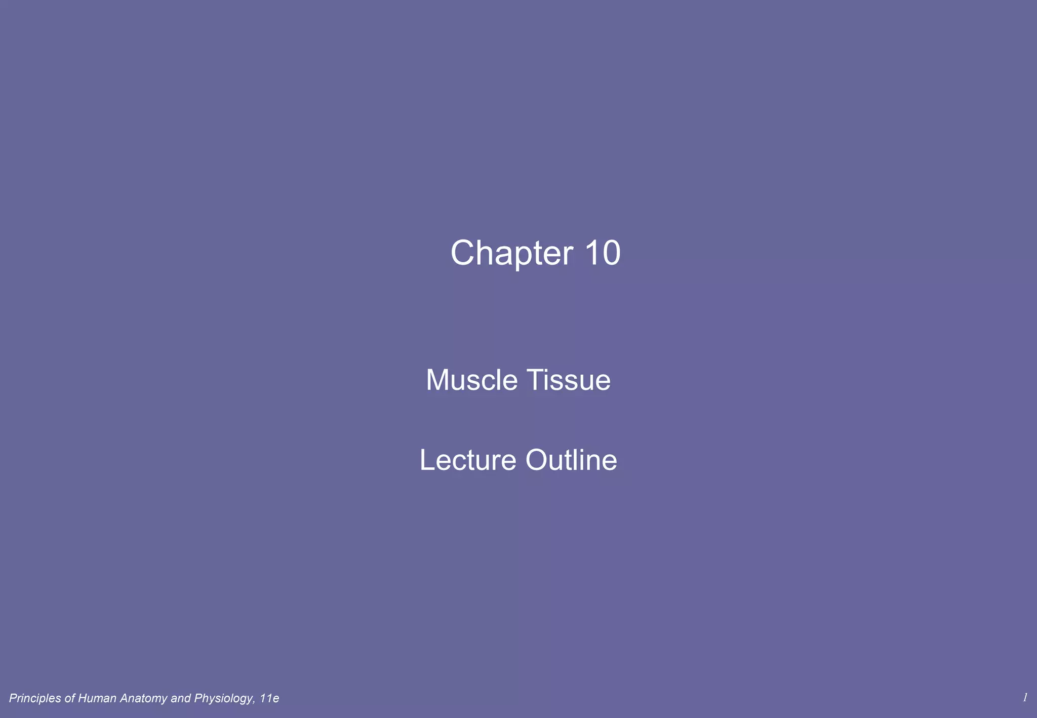 Lecture 1 muscle tissue | PPT