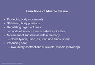 Lecture 1 muscle tissue | PPT