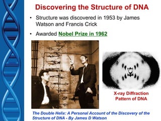 Nucleic Acid Biology for Beginners basics of DNA CEntral dogma | PPT