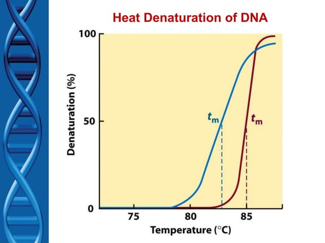 Nucleic Acid Biology for Beginners basics of DNA CEntral dogma | PPT