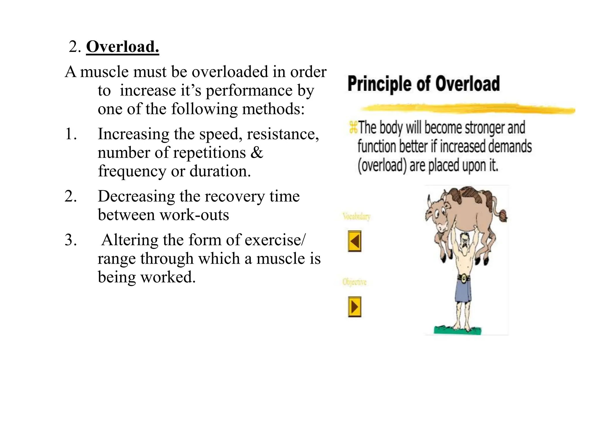 Lecture 1-Principles of Rehabilitation.pptx