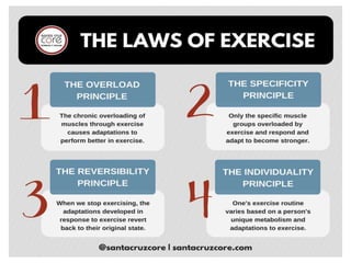 Lecture 1-Principles of Rehabilitation.pptx