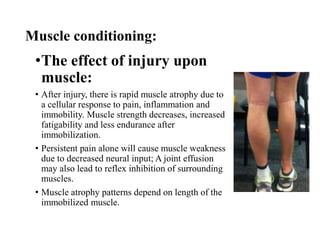Lecture 1-Principles of Rehabilitation.pptx