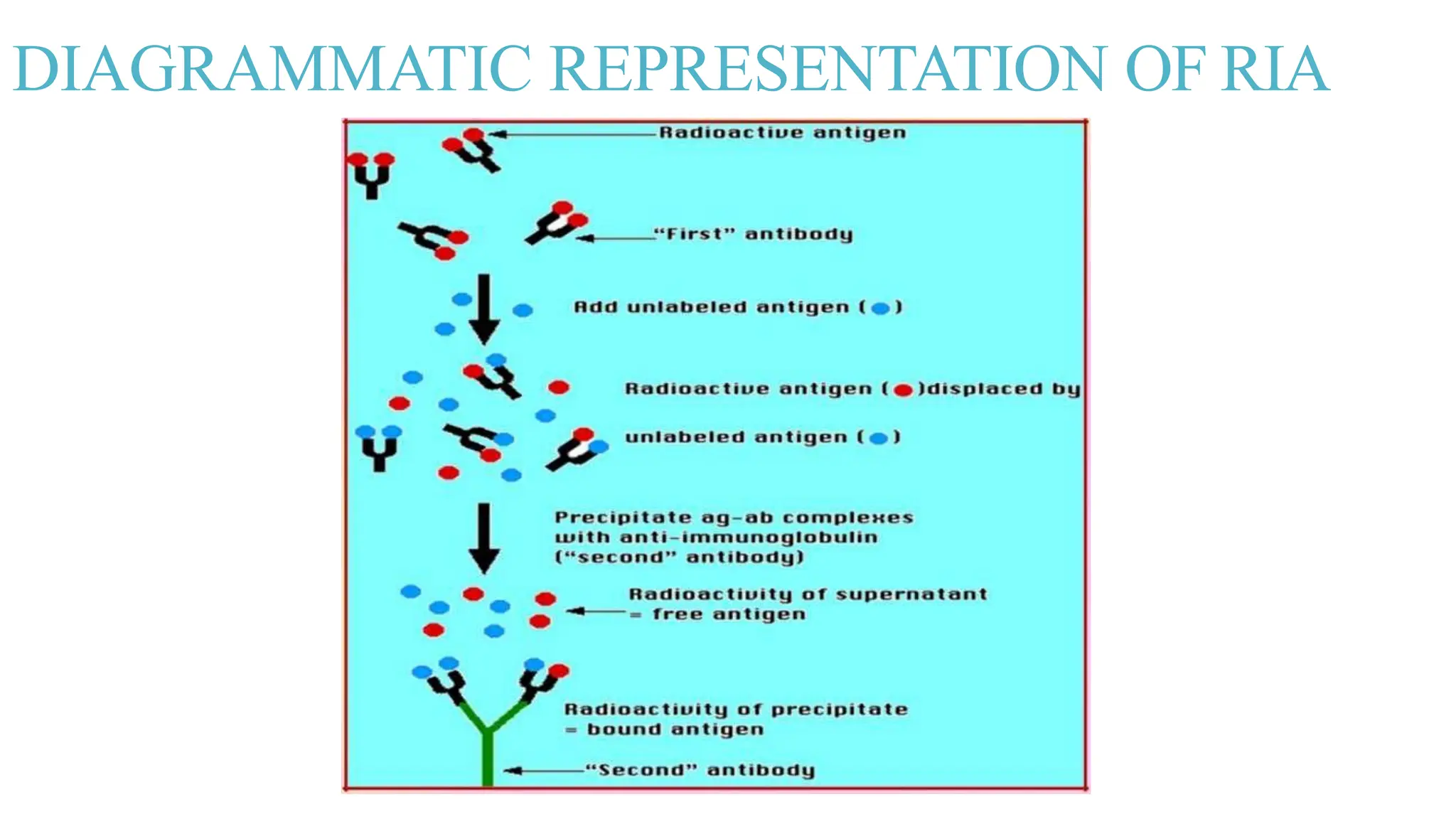 lecture 1- RIA12345678901233444444444.pdf