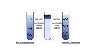 Lecture 1- Solution Preparation Centrifugation.pdf