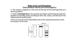 Lecture 1- Solution Preparation Centrifugation.pdf
