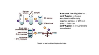 Lecture 1- Solution Preparation Centrifugation.pdf