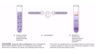 Lecture 1- Solution Preparation Centrifugation.pdf