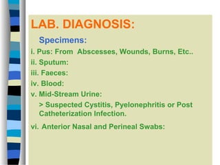 Lecture 1 Staphylococcus aureus | PPT