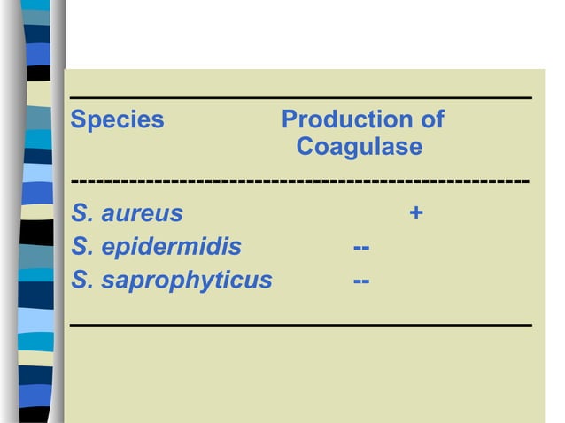 Lecture 1 Staphylococcus aureus | PPT | Infectious Diseases | Diseases ...