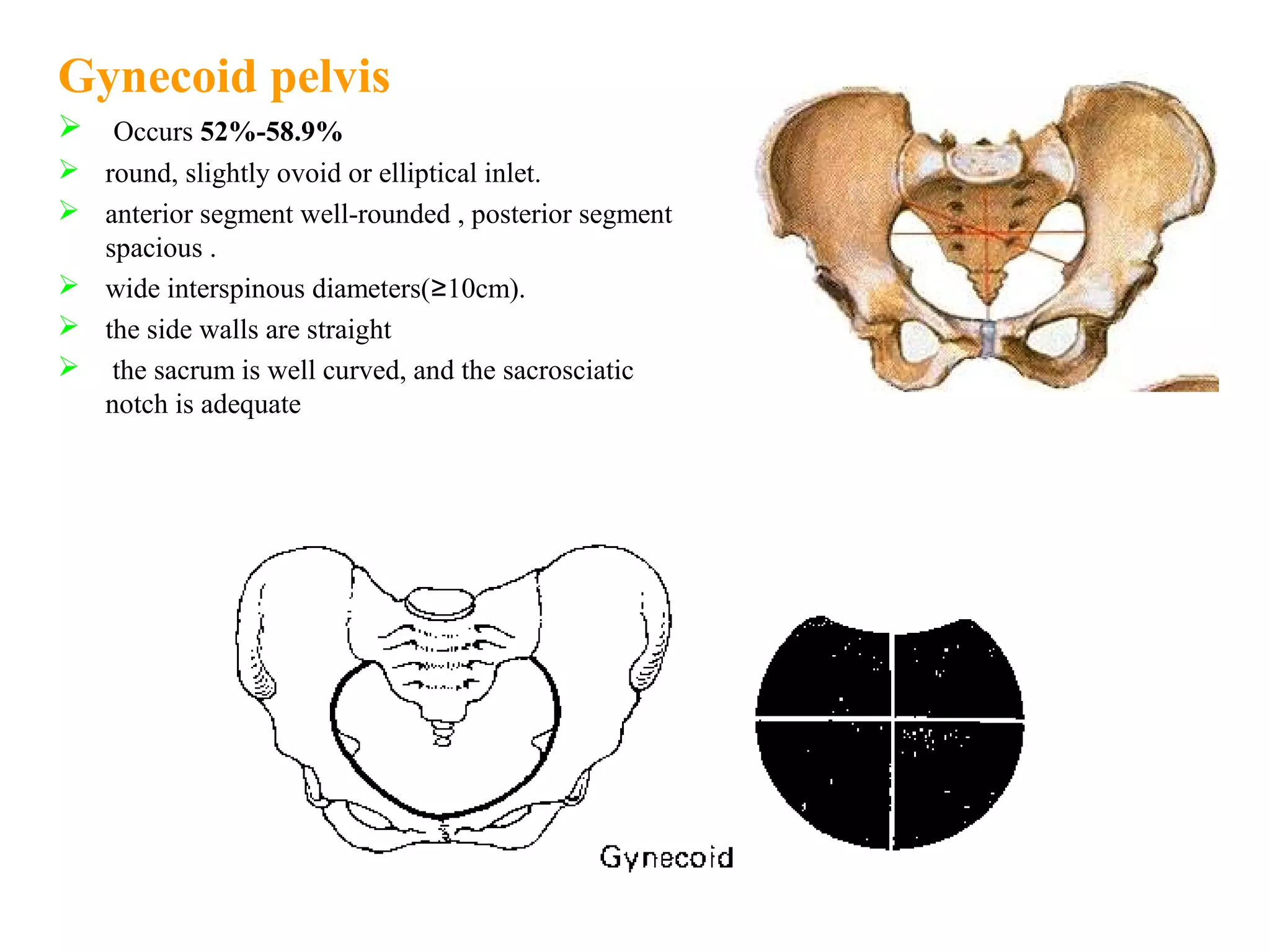 CLINICAL ANATOMY OF PELVIS | PPT