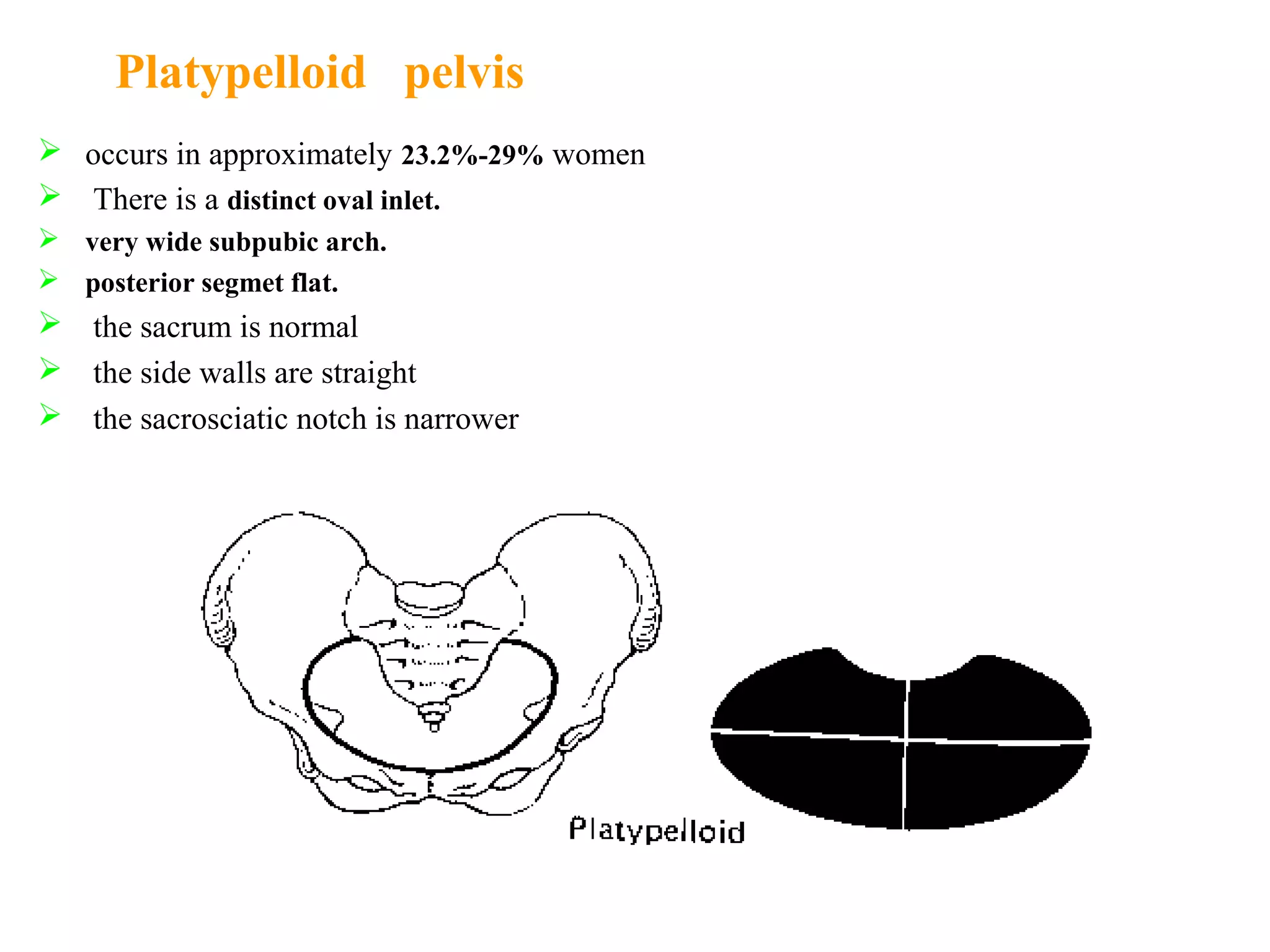 CLINICAL ANATOMY OF PELVIS | PPT