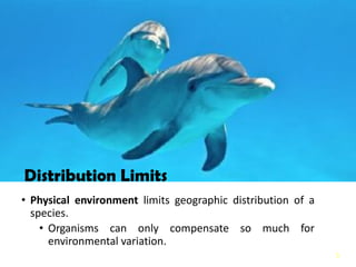 Lecture 10.pdf | Birdwatching | Hobbies & Interests