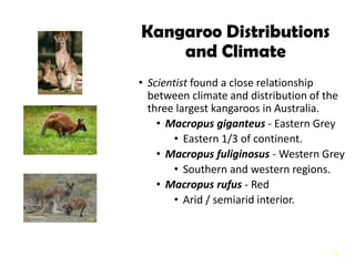 Lecture 10.pdf | Birdwatching | Hobbies & Interests