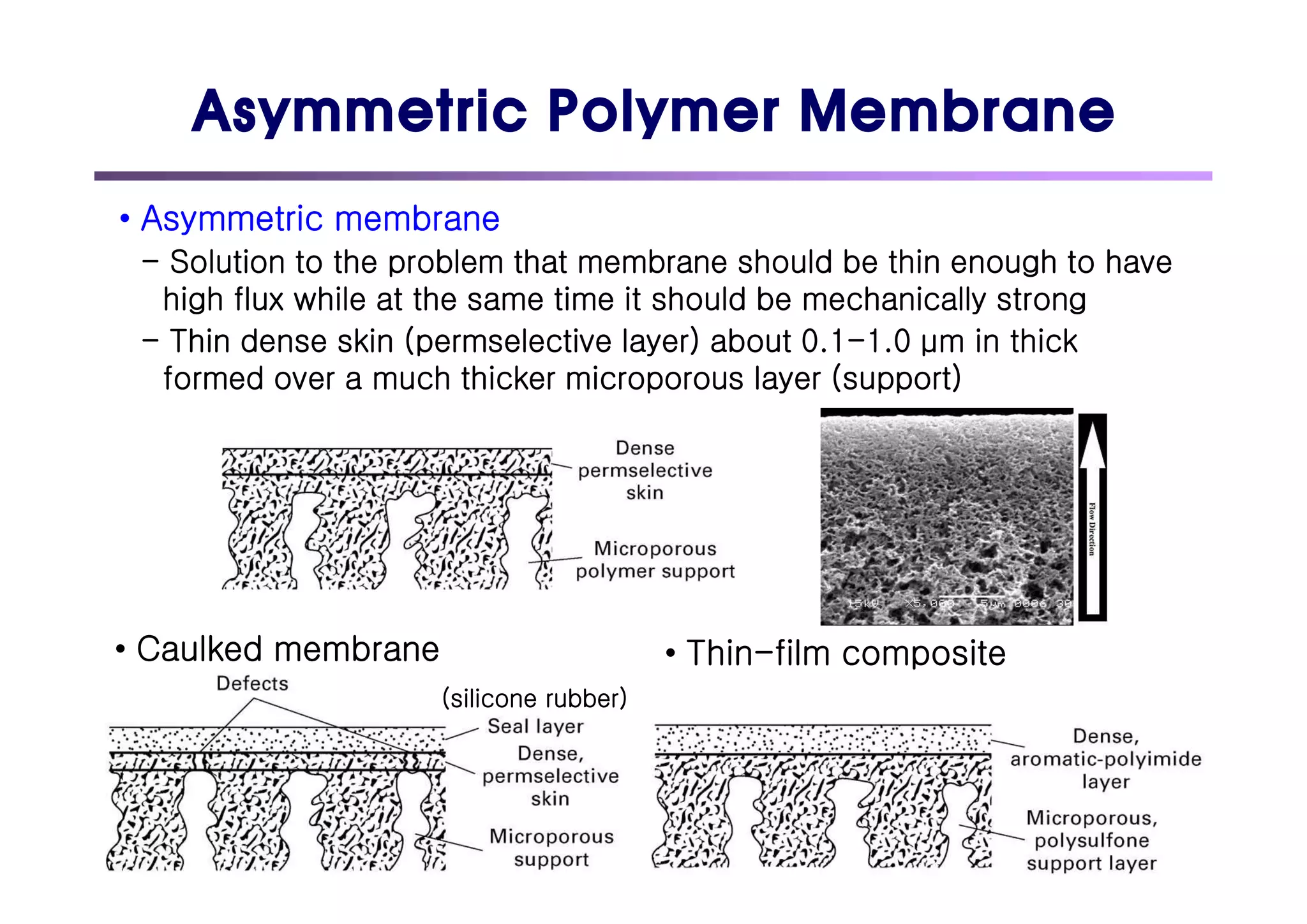 Membrane separation | PDF