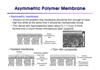 Membrane separation | PDF