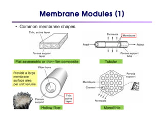 Membrane separation | PDF