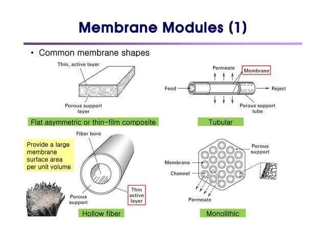 Membrane separation | PDF