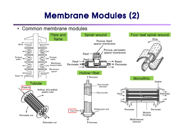 Membrane separation | PDF