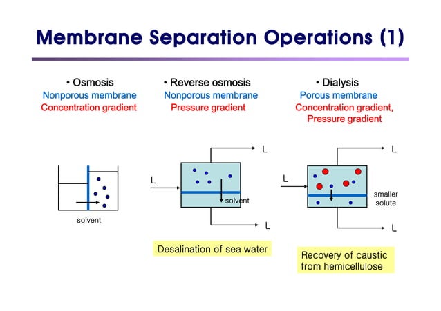 Membrane separation | PDF