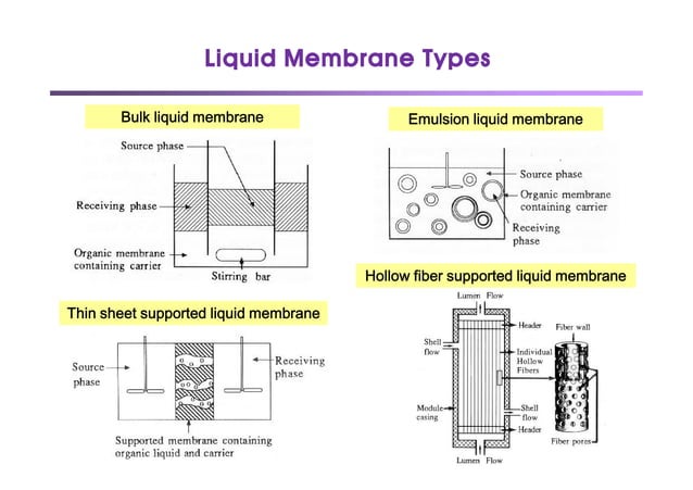 Membrane separation | PDF