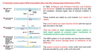 Lecture DNA repair - Part-1_slideshare.pdf