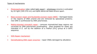 Lecture DNA repair - Part-1_slideshare.pdf