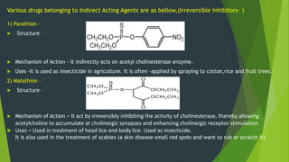 Lecture 10 .Parasympathetic agents- Indirect acting.pptx