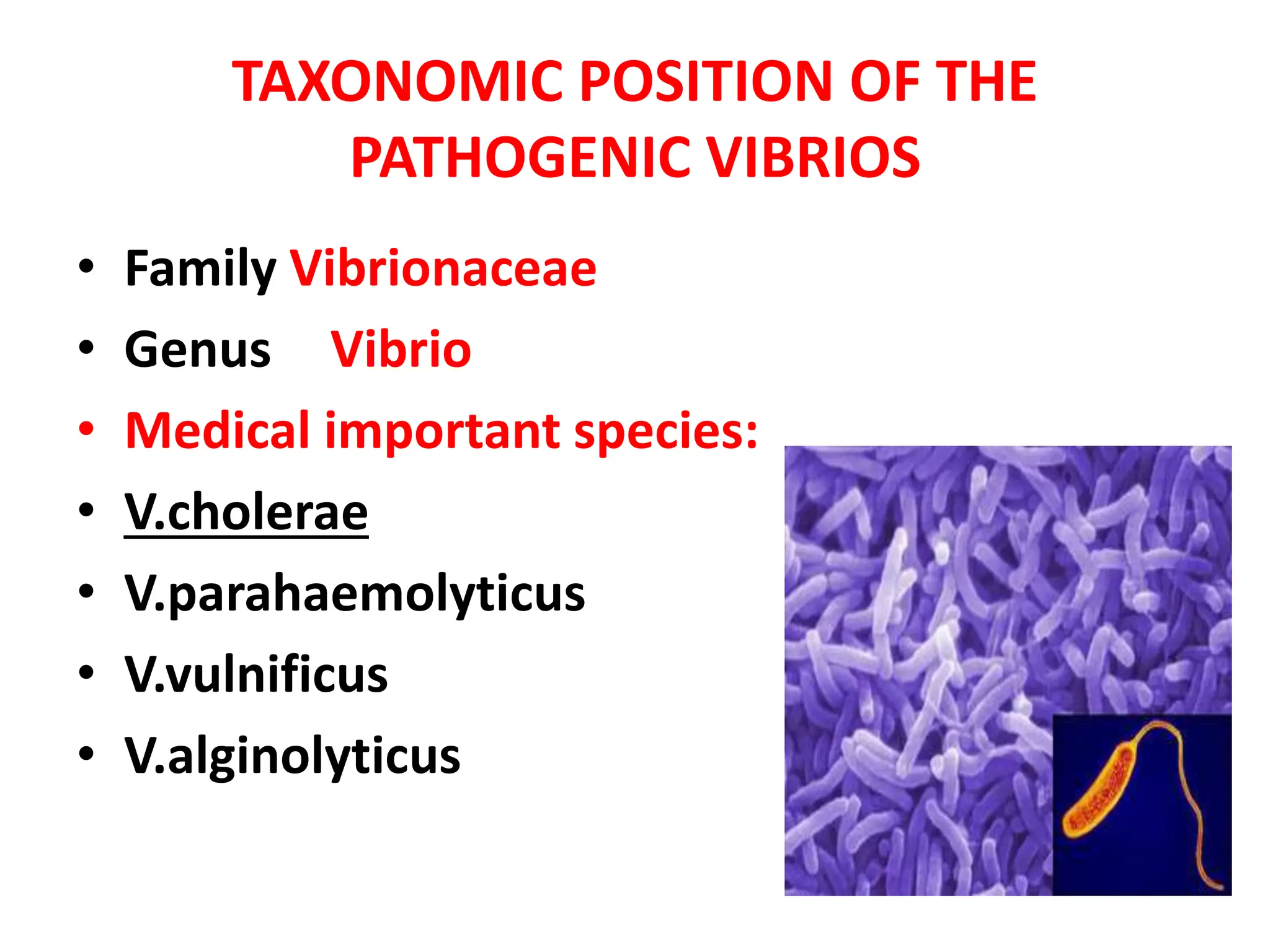 microbiology lecture pptt for medicine students | PPT