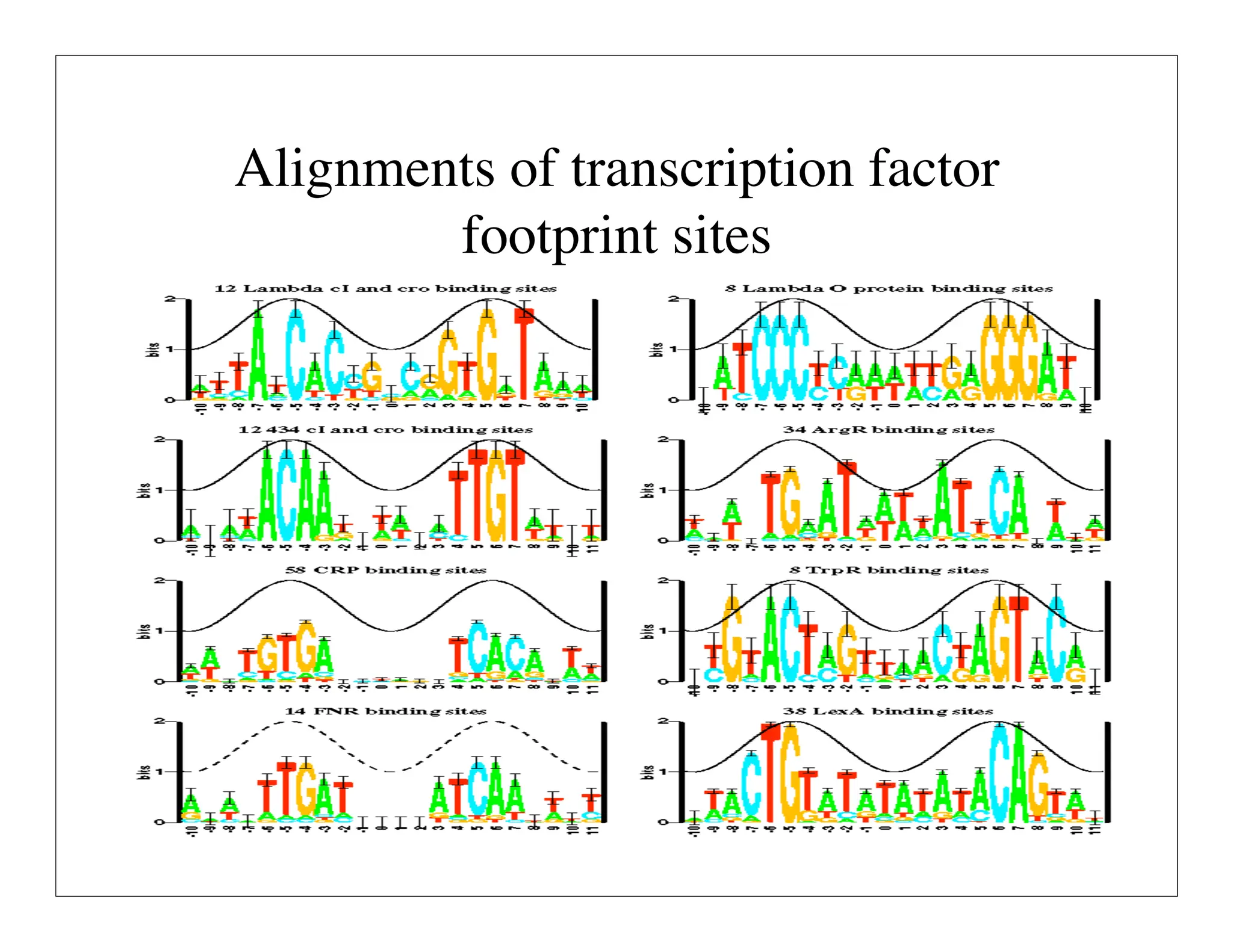 Bio informatics, Sequence tags, log odds and profile | PDF