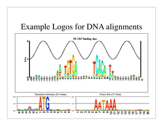 Bio informatics, Sequence tags, log odds and profile | PPT