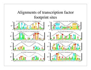 Bio informatics, Sequence tags, log odds and profile | PPT