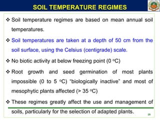 Lecture 10.pptx king of kotha koojhtggggggv | PPTX
