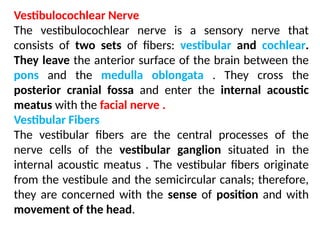 Anatomy of Cranial Nerves Lecture 10.pptx