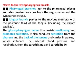 Anatomy of Cranial Nerves Lecture 10.pptx
