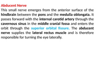 Anatomy of Cranial Nerves Lecture 10.pptx